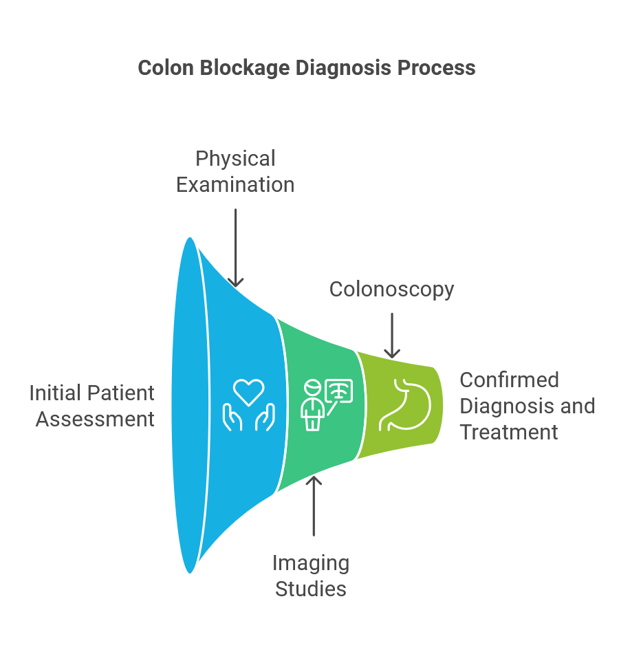 Understanding Colon Blockage and Herniated Stoma: A Comprehensive ...